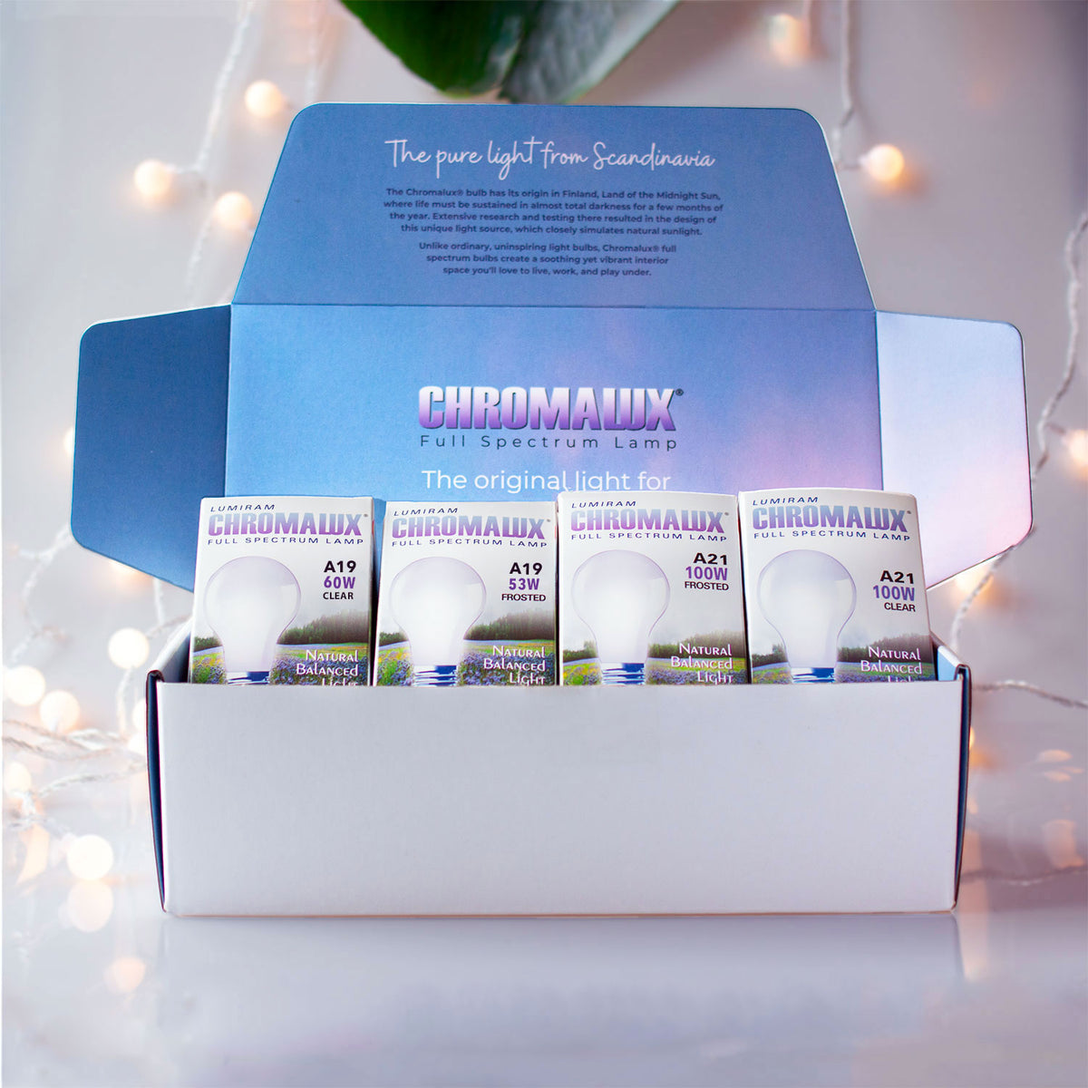 Best Full Spectrum Bulb Gift Bundle by Chromalux® – Healthlighting
