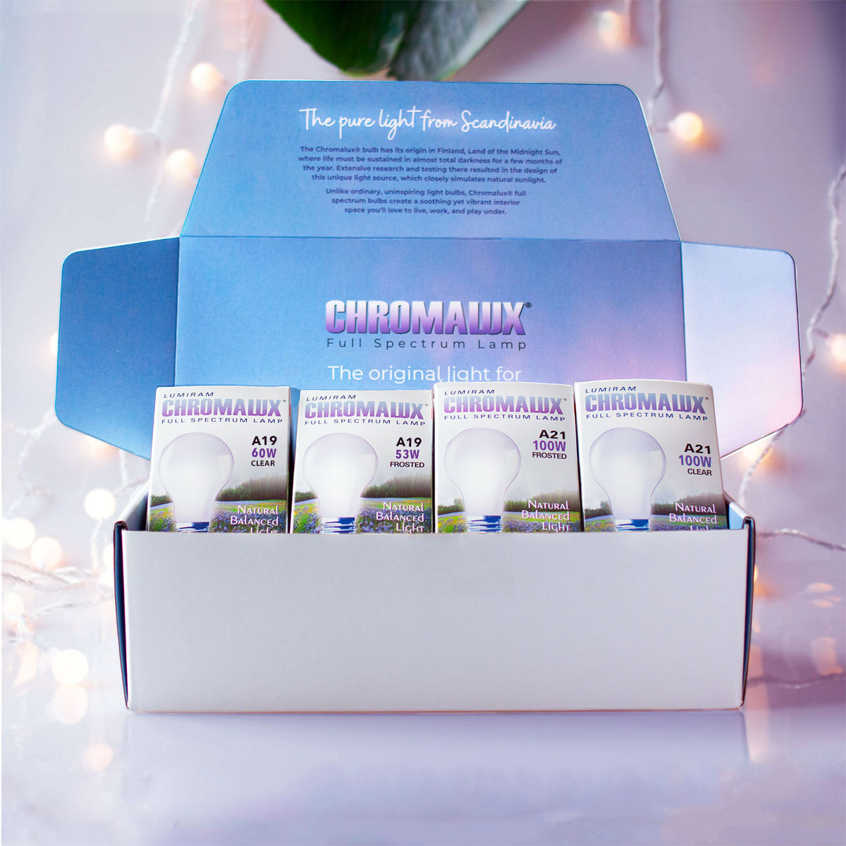 Best Full Spectrum Bulb Gift Bundle by Chromalux® – Healthlighting