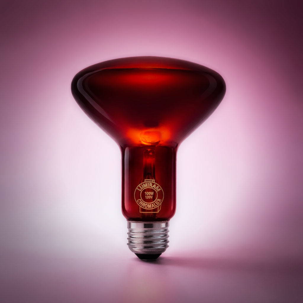 Chromalux® Full Spectrum Incandescent Infrared Red Light Therapy Bulb ...