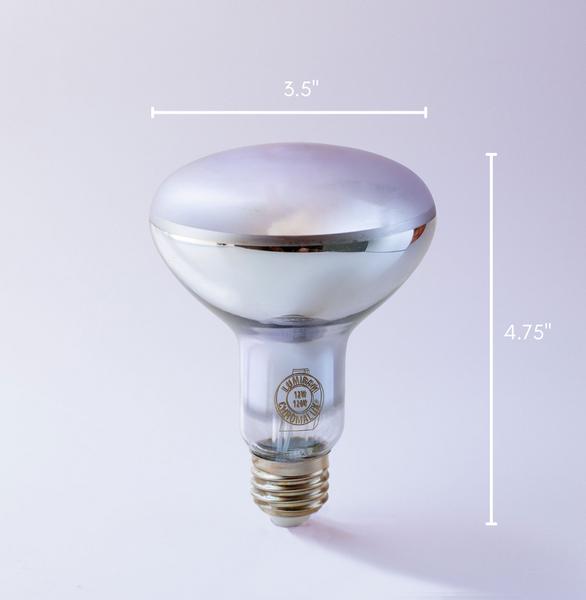 Difference Between R30 And R40 Light Bulbs | Shelly Lighting
