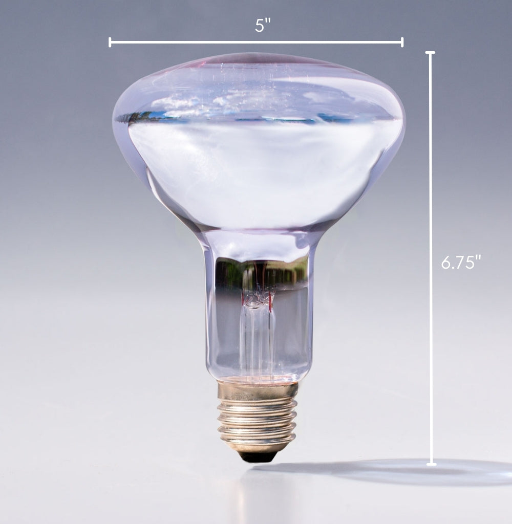 R40 150W Incandescent Flood Light Bulb by Chromalux® Full Spectrum ...