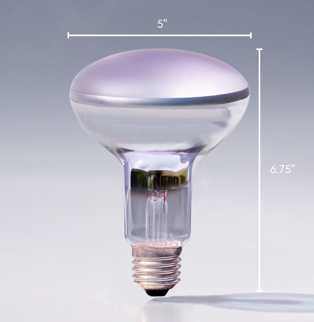 R40 Full Spectrum Flood Light Bulb by Chromalux® Full Spectrum ...